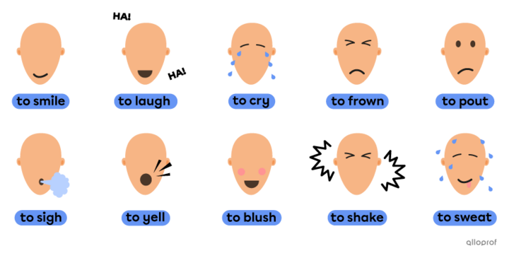 Emotions & Feelings – Vocabulary | Alloprof