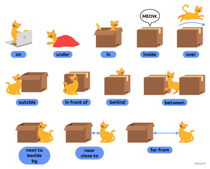 What Is the Vocabulary for Position & Directions? | Grades 3-6 | Alloprof